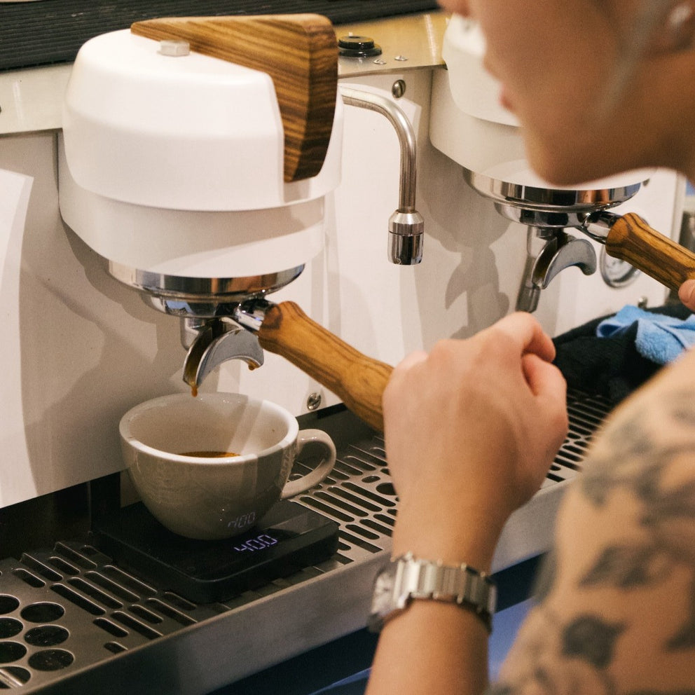 Coffee Academy - Barista Course Singapore | Common Man Coffee Roasters